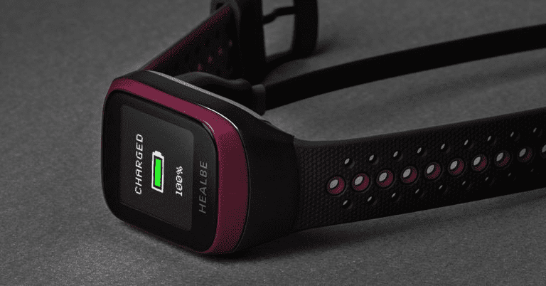 GoBe3 battery – HEALBE Blog